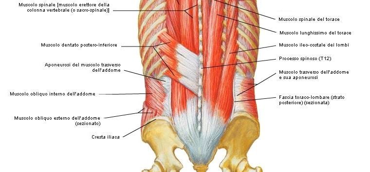 Dolore lombare: Cause, sintomi e rimedi - Obiettivo Salute